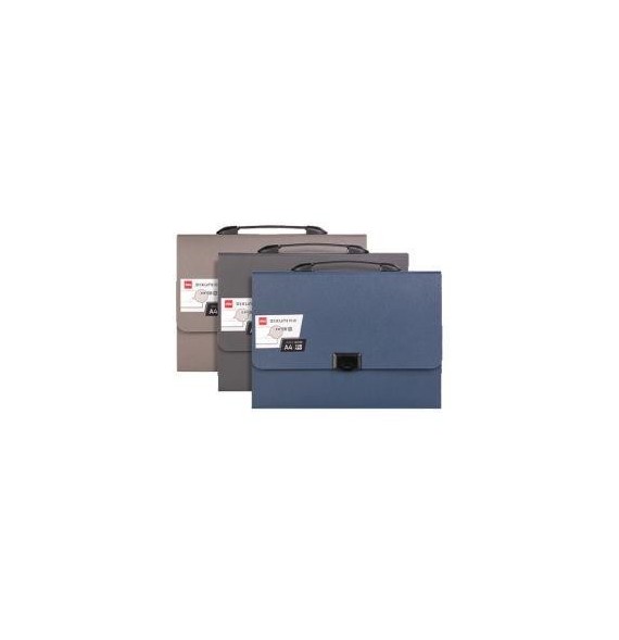 Delivered Expanding File A4 1Pc